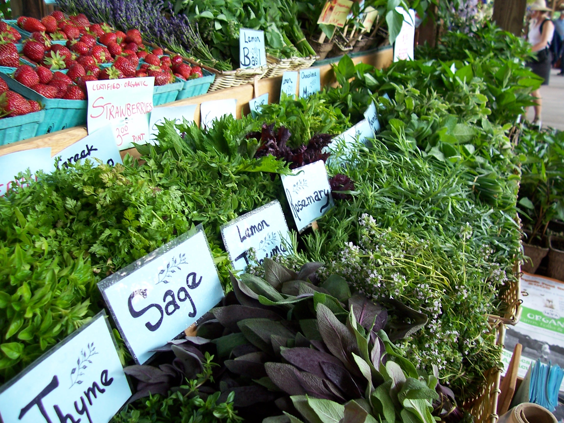 Herbs | KINGBIRD FARM